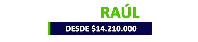 Don Raúl – Casas Lago Ranco